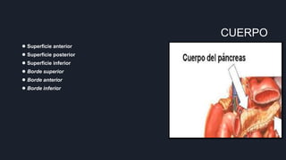 Trauma de páncreas.pptx