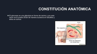 Trauma de páncreas.pptx