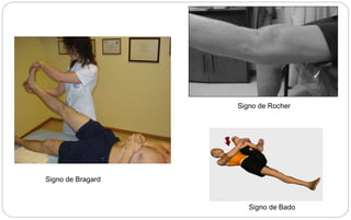 Trauma de rodilla | PPTX