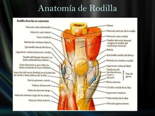 Trauma de rodilla 7ma rotacion, ortopedia, unah | PPTX