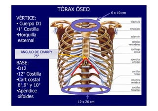 TRAUMAS TORACICOS | PDF