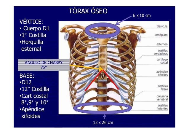 Angulo de despojo, cruzgomez.es