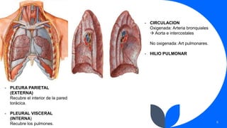 trauma de tórax - abierto/Cerrado - Tipos | PPTX
