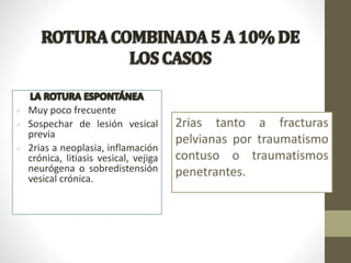 Trauma de vejiga | PPT