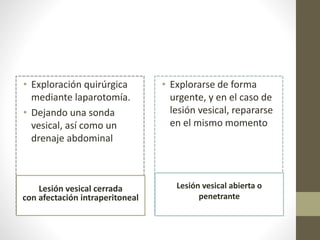 Trauma de vejiga | PPT
