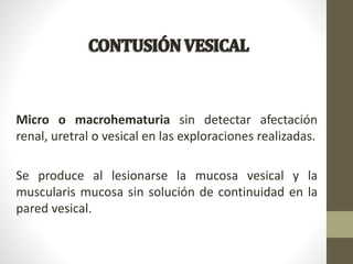 Trauma de vejiga | PPT