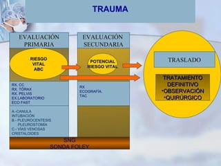 Trauma genitourinario Paulo Portalier F | PPT