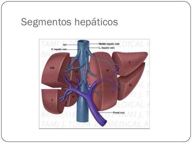 Trauma hepático