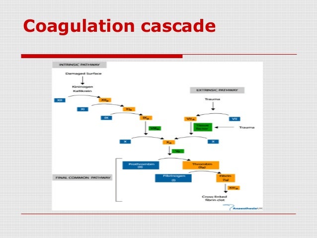 Trauma induced coagulopathy