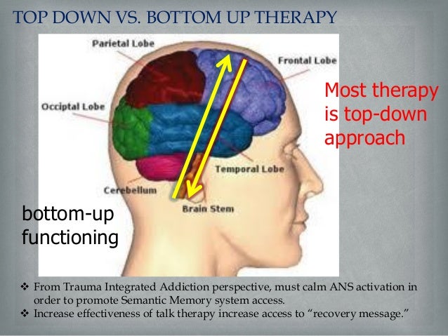 Trauma informed addiction utilizing car model