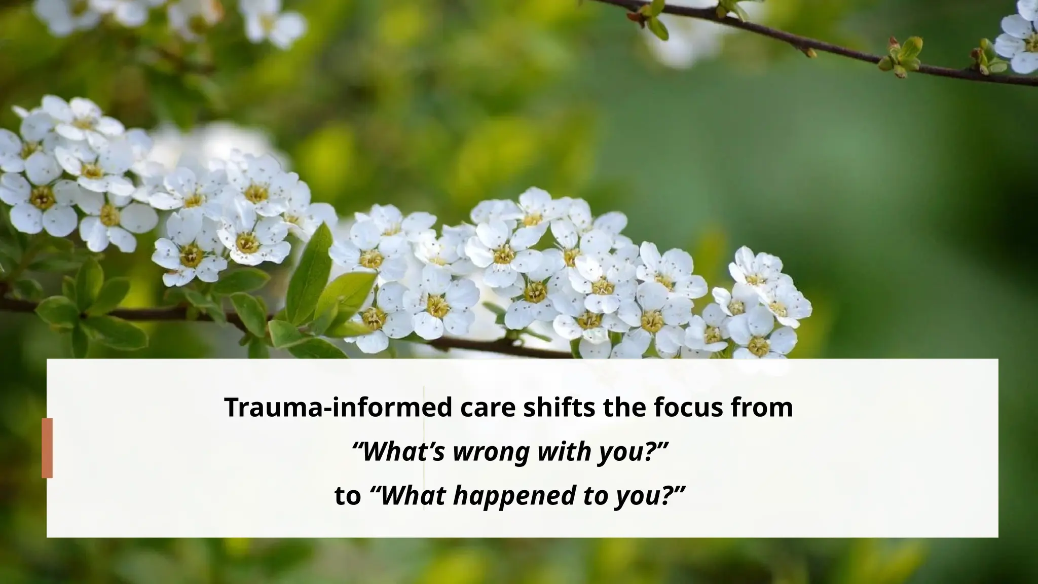 Trauma Informed Care Powerpoint Presentation.pptx