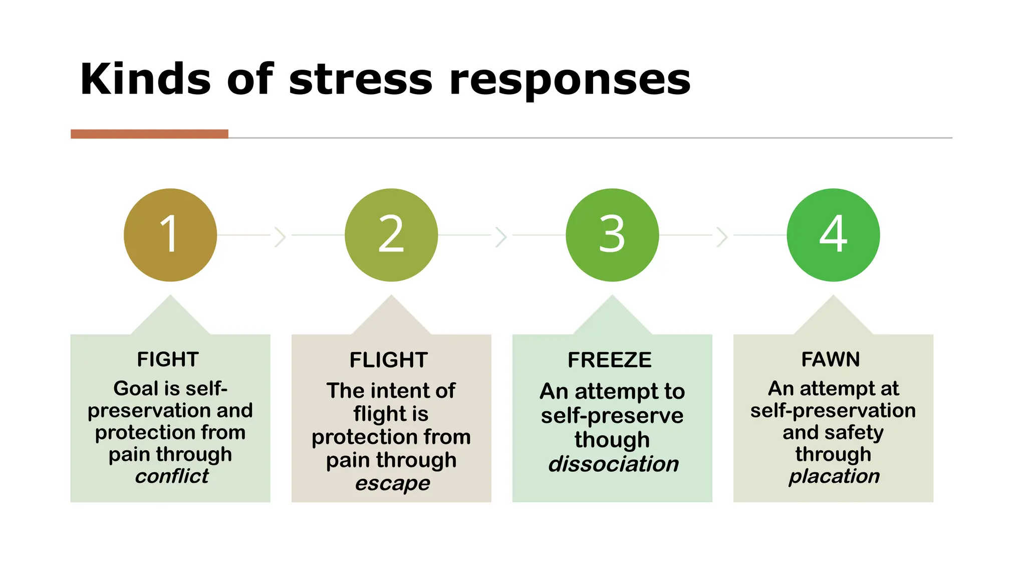 Trauma Informed Care Powerpoint Presentation.pptx
