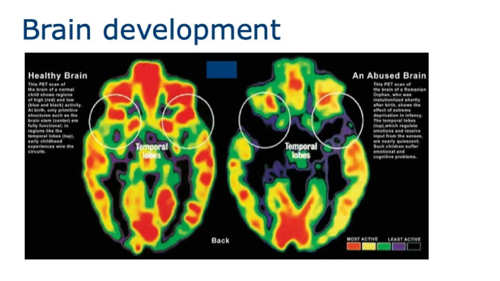 Trauma Informed Care Powerpoint Presentation.pptx