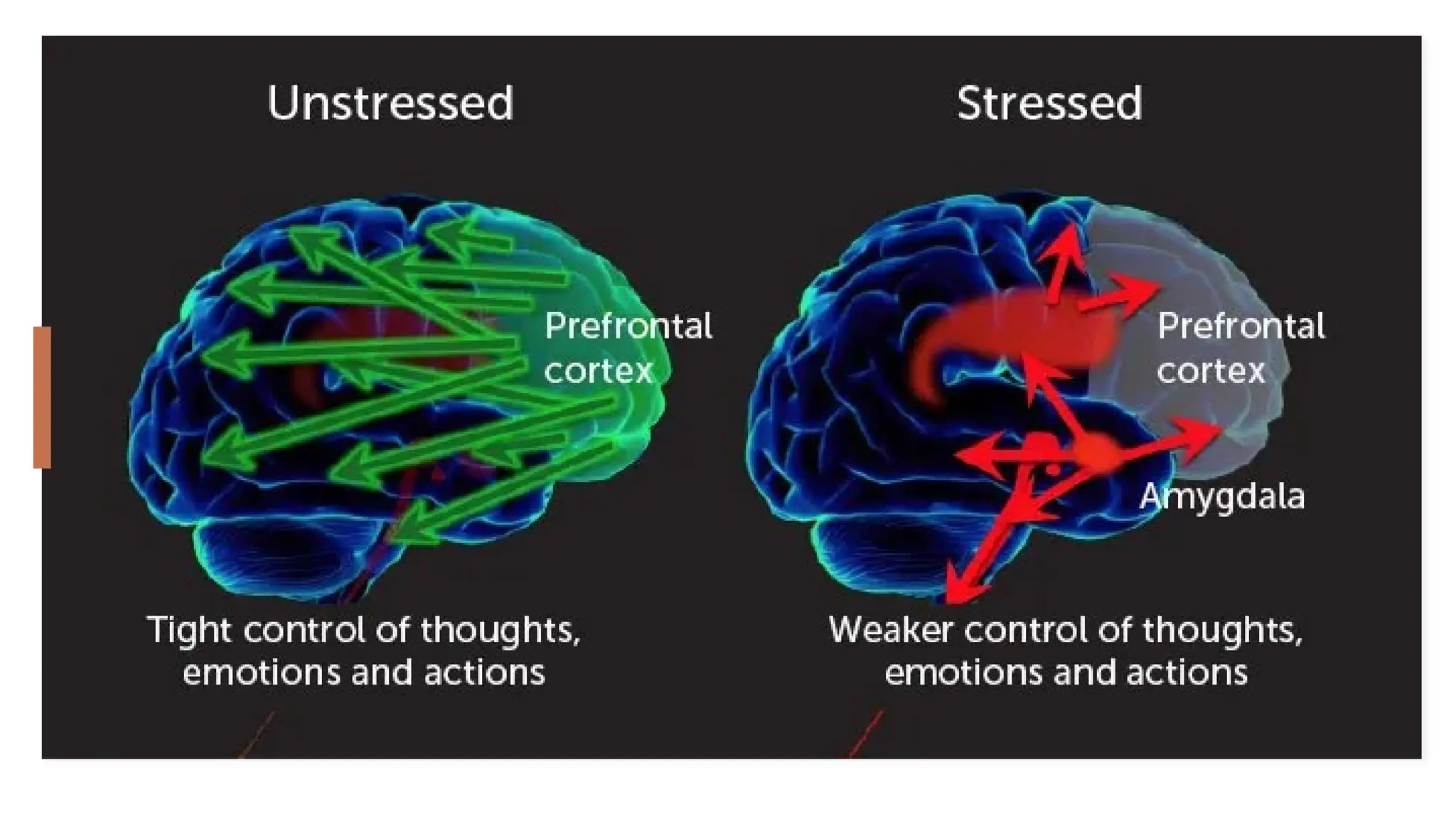 Trauma Informed Care Powerpoint Presentation.pptx