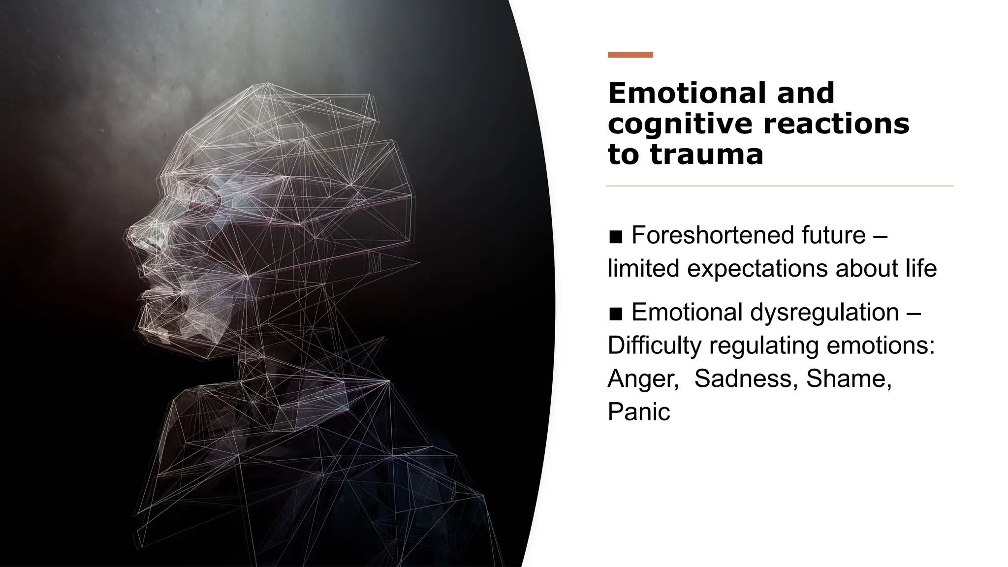 Trauma Informed Care Powerpoint Presentation.pptx