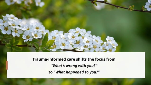 Trauma Informed Care Powerpoint Presentation.pptx