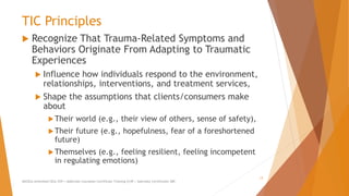 Trauma Informed Care: A Sociocoltural Perspective | PPTX