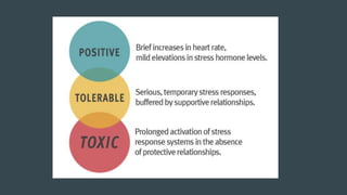 Trauma informed communication | PPTX