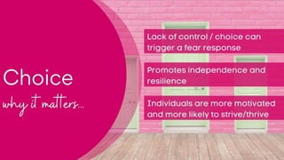 Trauma Informed School Leadership | PPTX