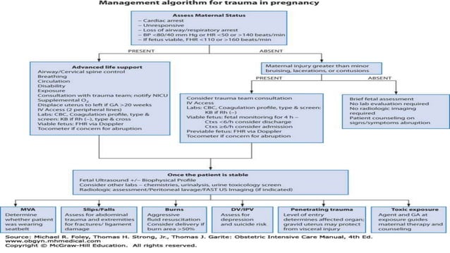Trauma in pregnancy | PPT