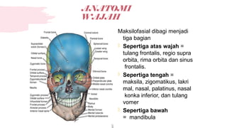Trauma Maksilofasial PRESENTASIIIIII.pptx