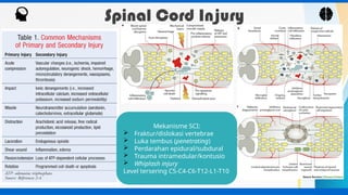 Trauma medula spinalis, Trauma medula spinalis, | PPTX