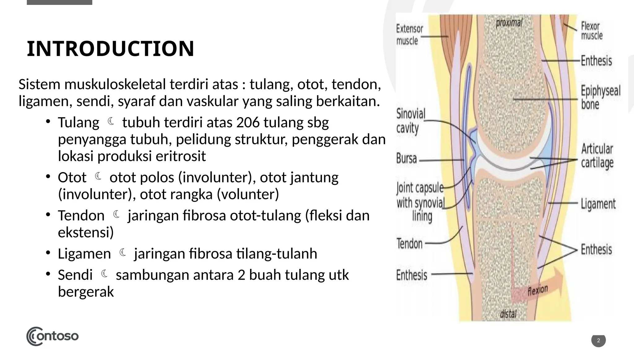 Trauma Muskuloskeletal pada kegawatdaruratan.pptx