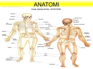 PERSENTASI TRAUMA MUSKULOSKELETAL EMT.pptx