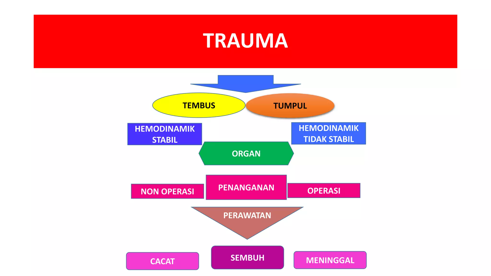 TRAUMA_NONTRAUMA_MEI_2020.pptx