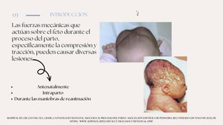 Trauma obstetrico. Ginecologia y obstetricia II | PDF
