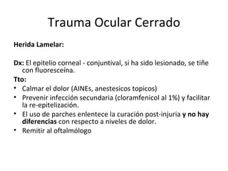 Trauma ocular | PPT