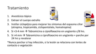 Trauma ocular.pptx