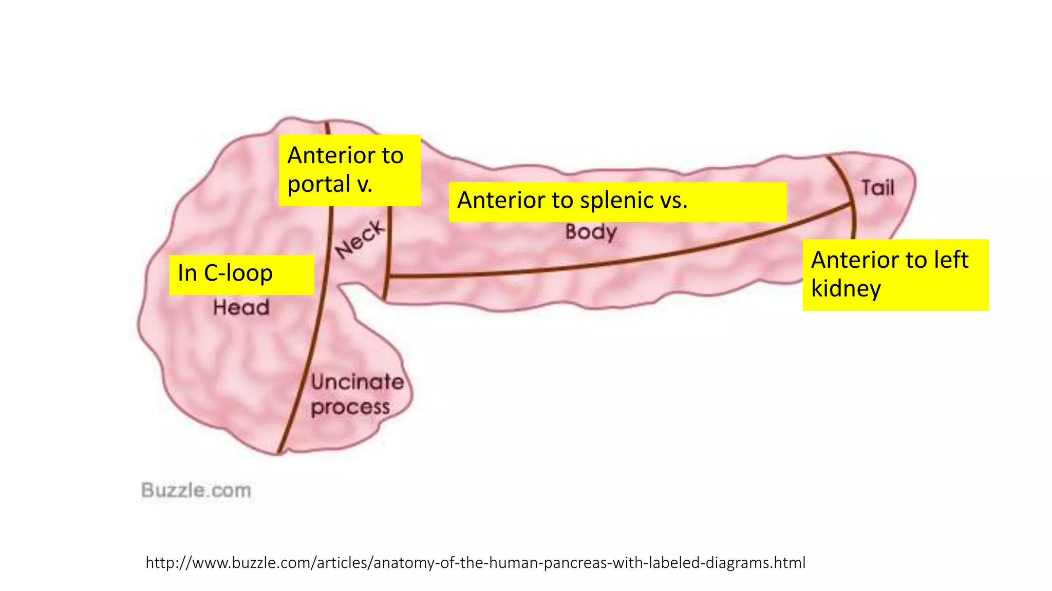 Trauma of PANCREAS | PPTX