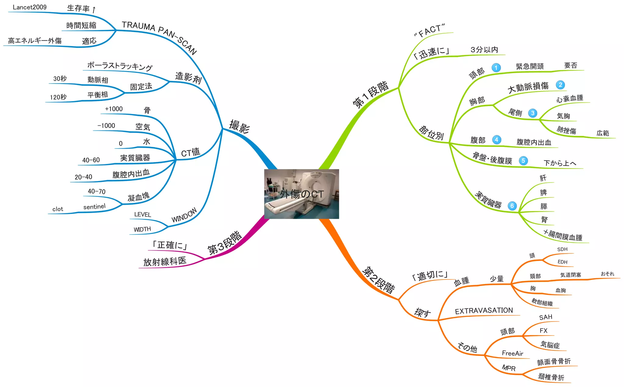 Trauma pan scan | PPT