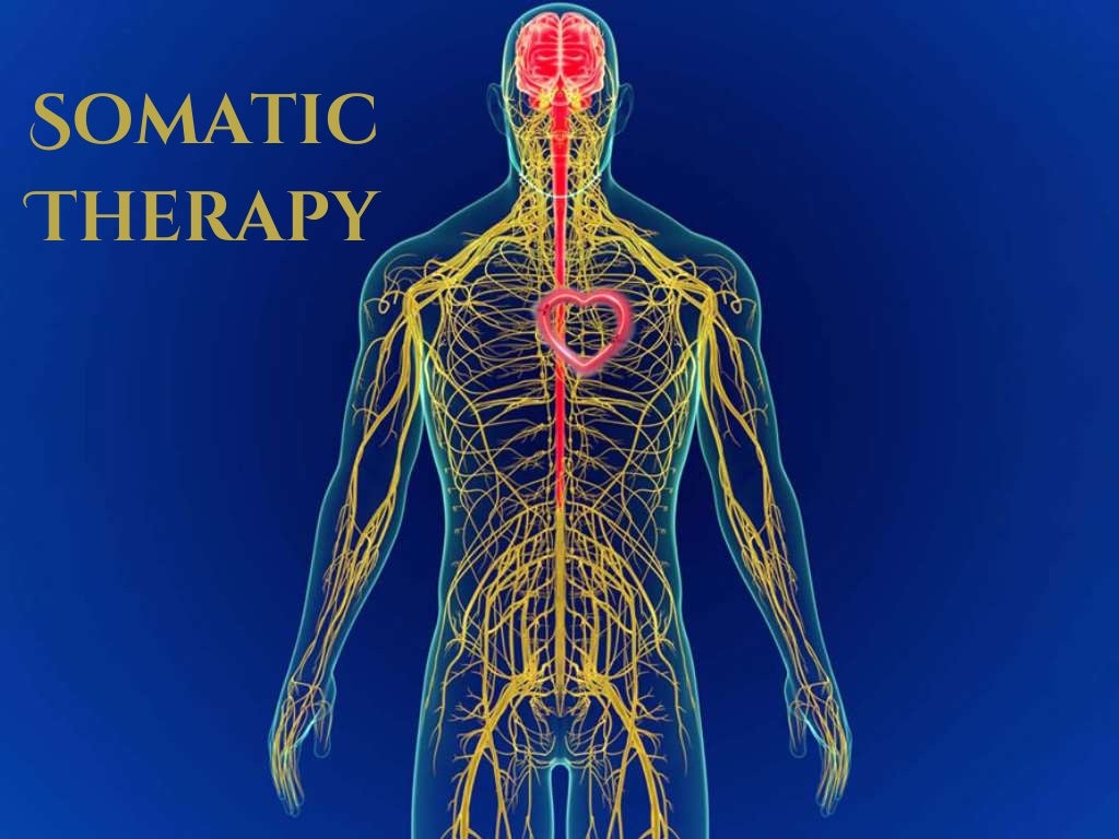 Trauma, PTSD, and Anxiety Treatment Through Somatic Therapy | PPT
