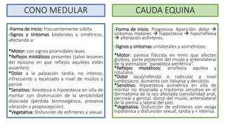Trauma raquimedular.pptx