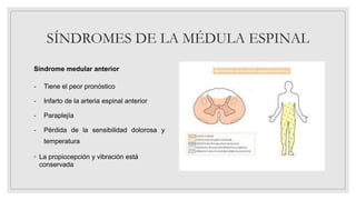 TRAUMA RAQUIMEDULAR presentacion del atls.pptx