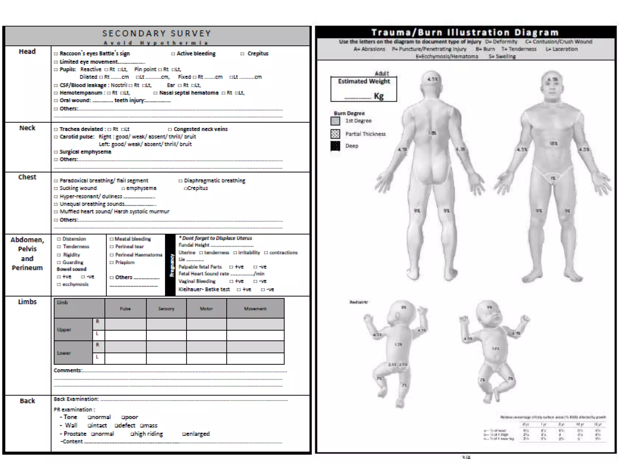 Trauma sheet project | PPTX