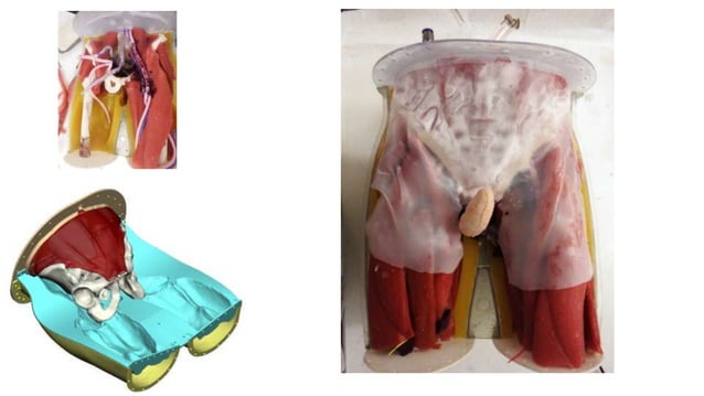 Developing realistic trauma simulation models | PPT