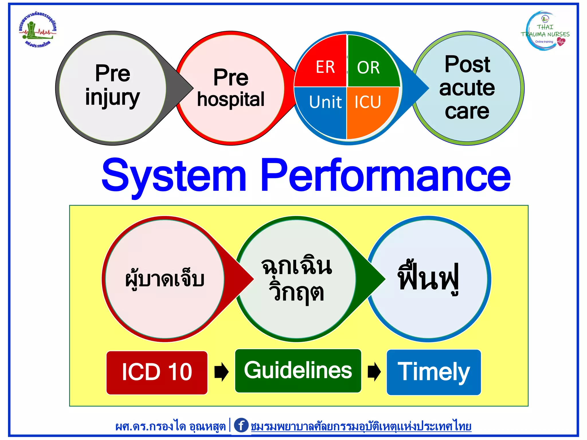 TRAUMA SYSTEM.pdf