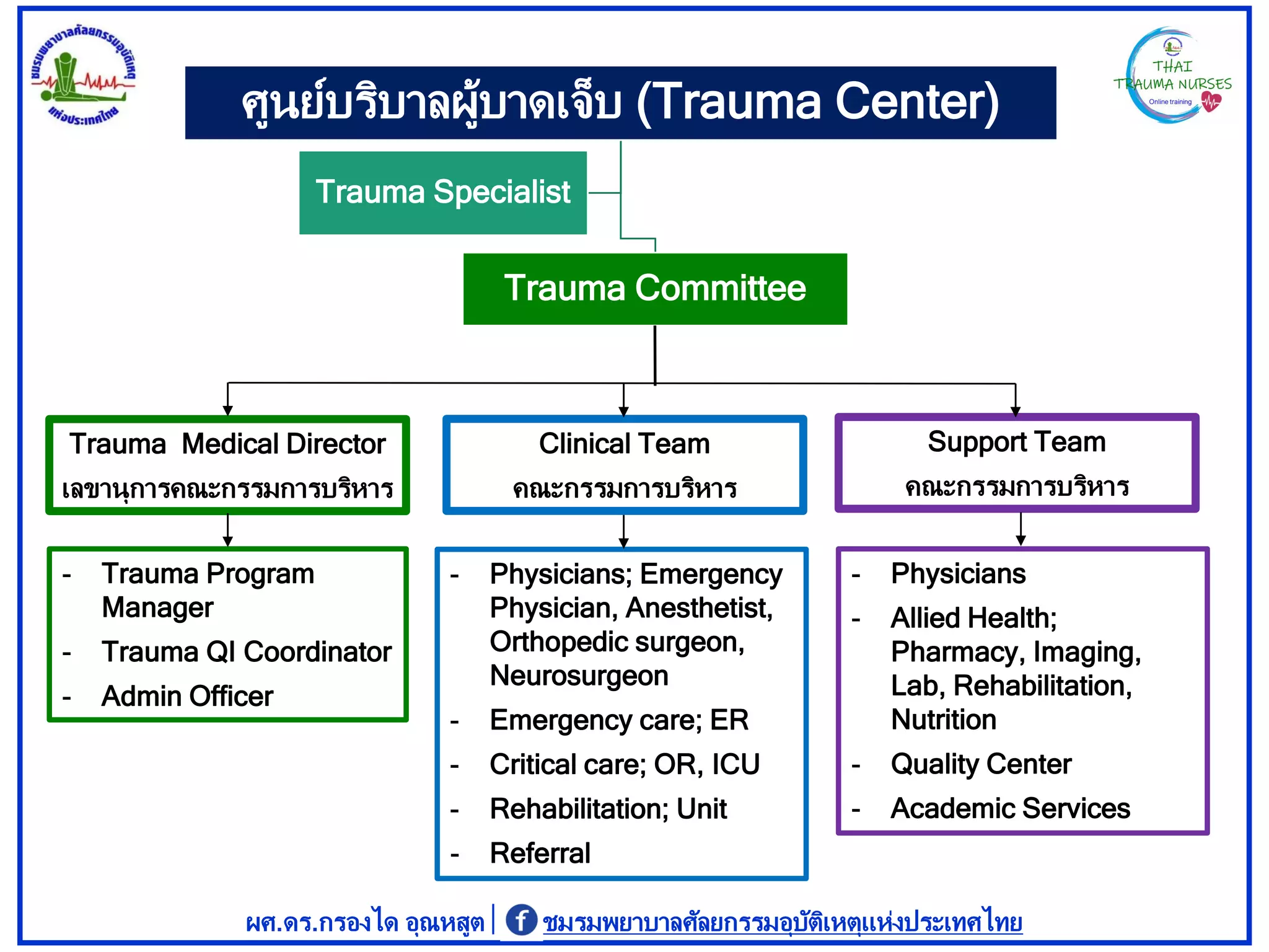 TRAUMA SYSTEM.pdf