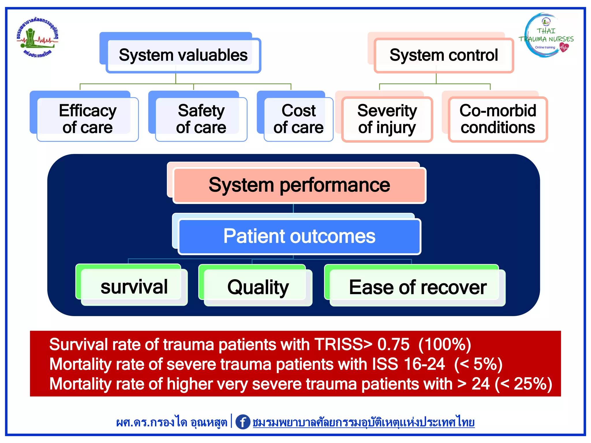 TRAUMA SYSTEM.pdf