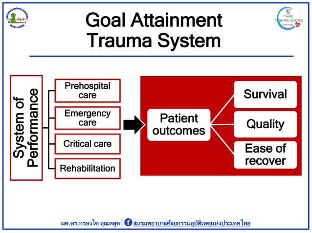 TRAUMA SYSTEM.pdf