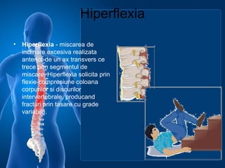 Traumat.vertebro medulare | PPT