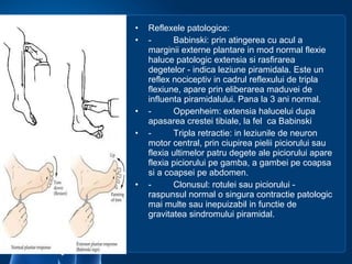 Traumat.vertebro medulare | PPT