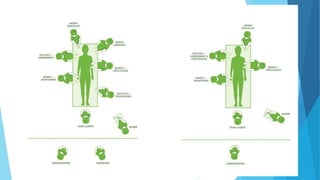 Trauma teams | PPTX | First Aid | Injuries