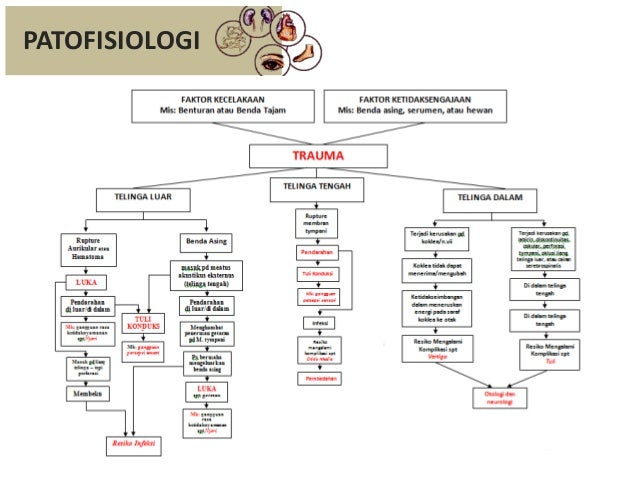 TRAUMA TELINGA (Ear Trauma)