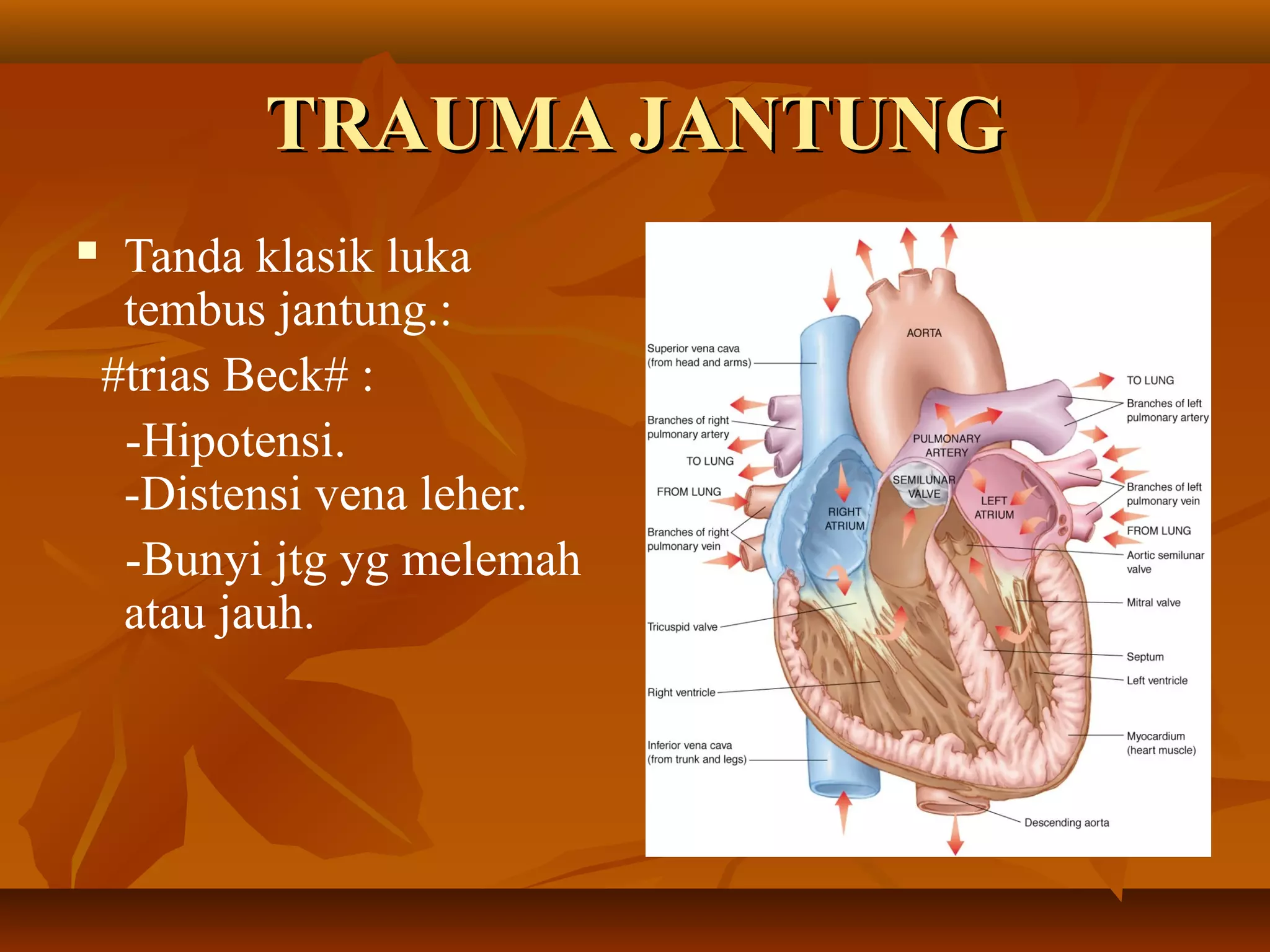 Trauma thorax | PPT