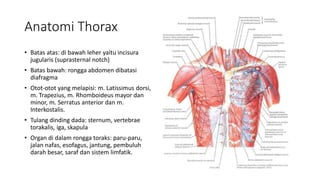 Trauma Thorax fix.donny.pptx