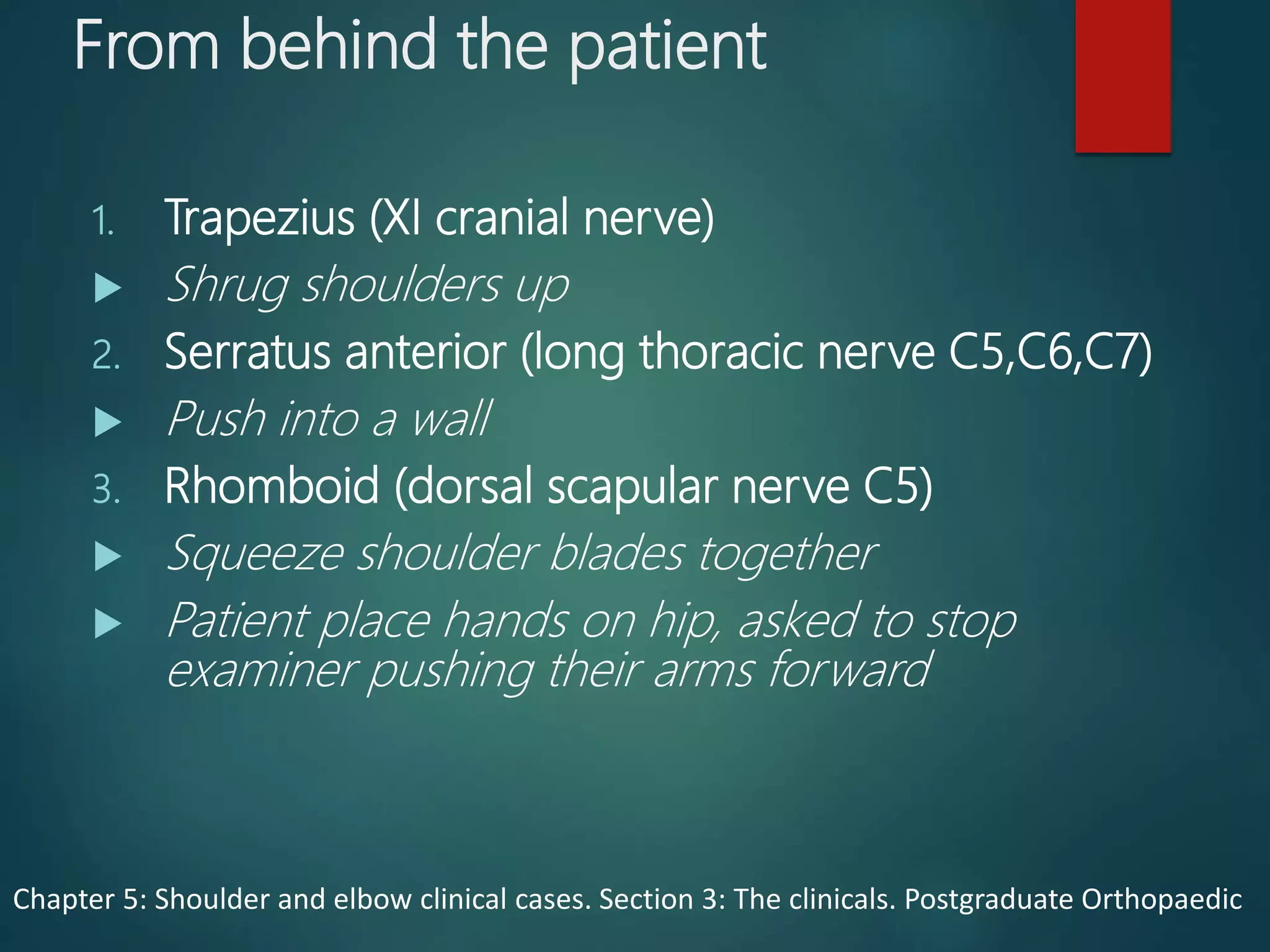 Traumatic brachial plexus injury | PPTX